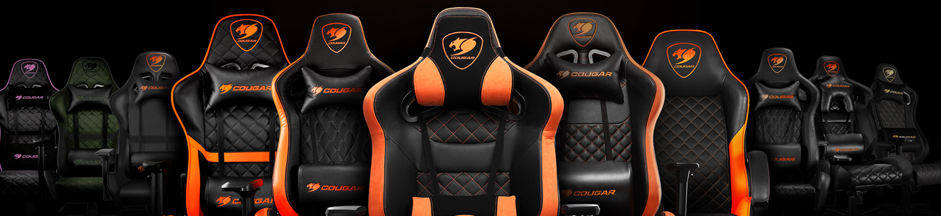 Catalog > Expression Computers W.L.L